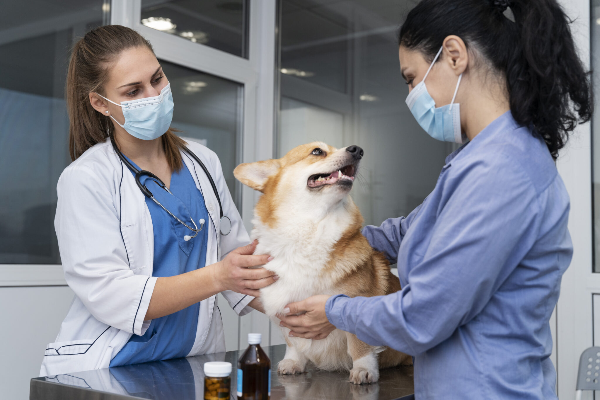 Green Skills: A Key to Sustainability in Veterinary Practices ...