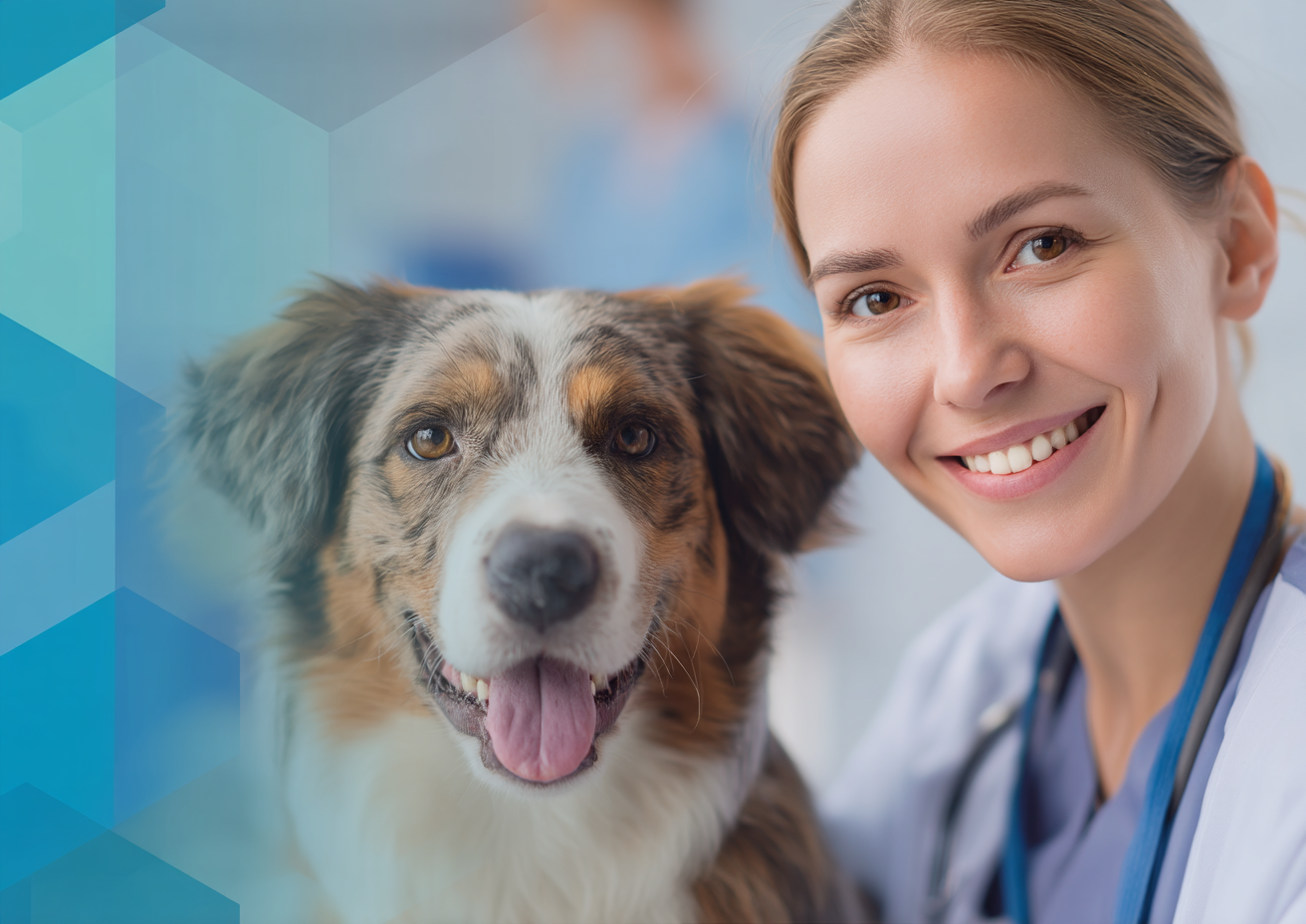 Operator Experience and Adverse Events in Pericardiocentesis ...